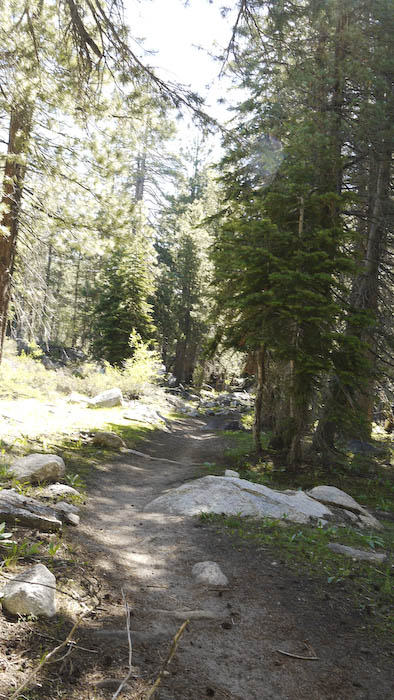 Emigrant Wilderness, Stanislaus National Forest, California | Hike Now ...