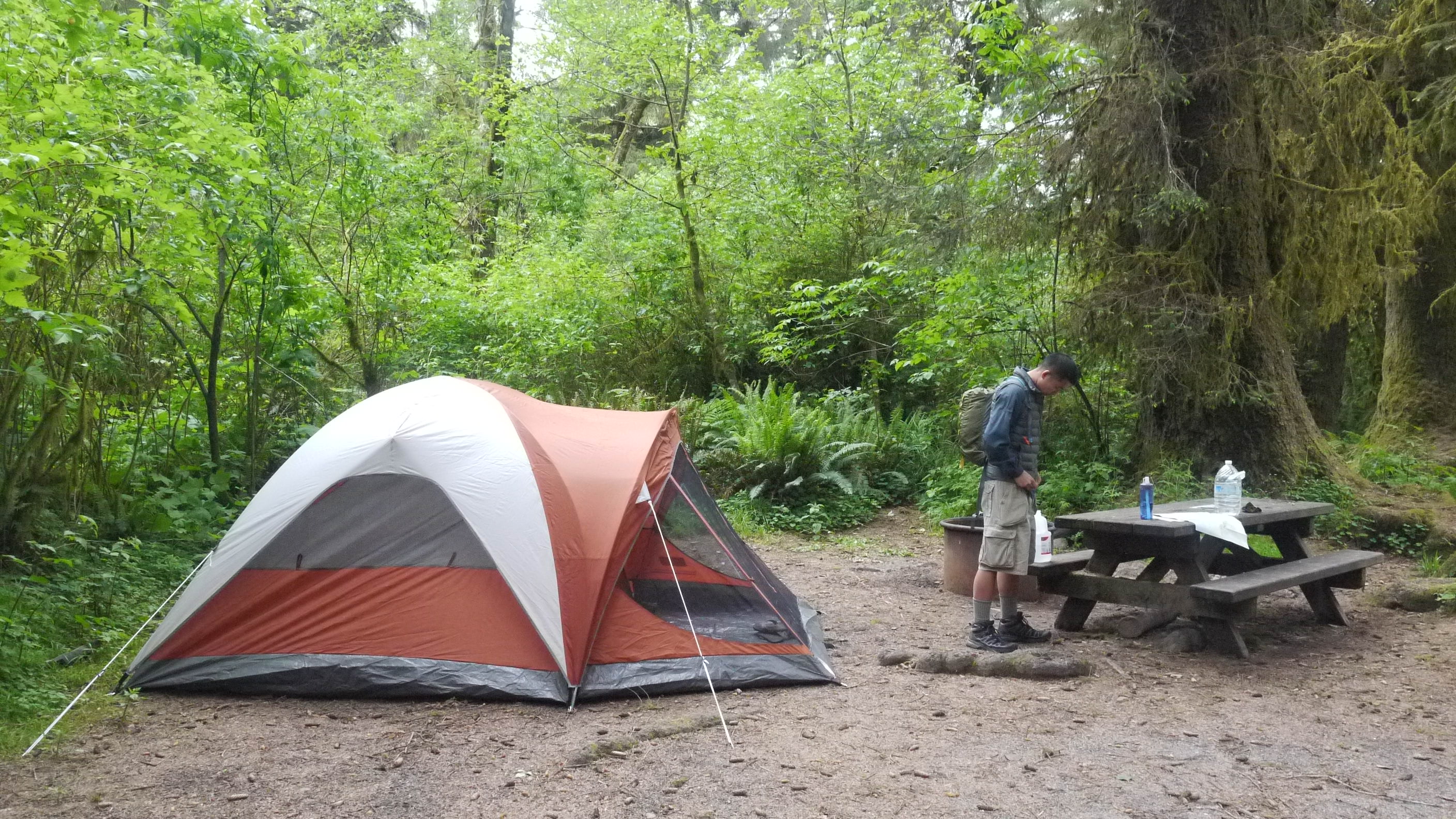 Redwood State and National Park | Hike Now, Work Later